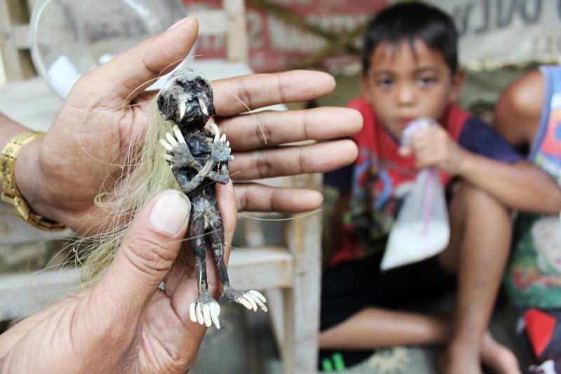 Mencari Tanda Kehidupan pada Jenglot, dari Struktur Tulang hingga DNA ...