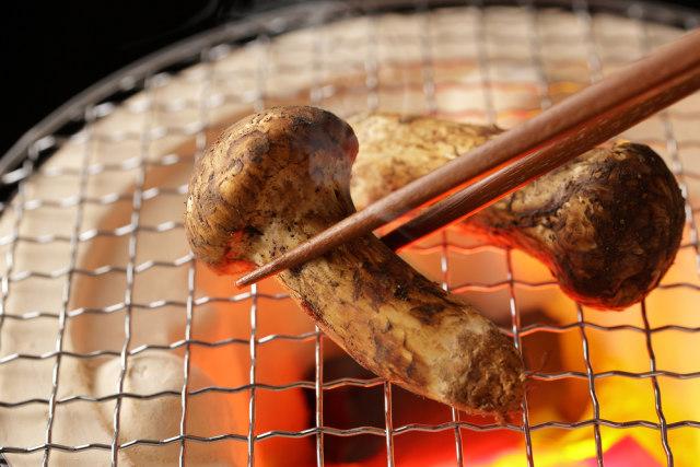 Berkenalan dengan Matsutake, Jamur Seharga Motor dari Negeri Sakura