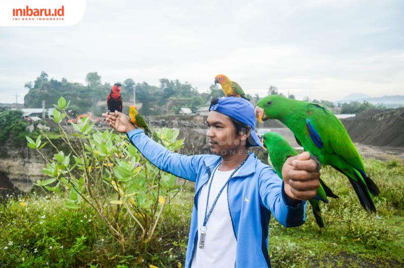 Burung-Burung Free Fly, Terbang Bebas Tanpa Jeruji Pembatas