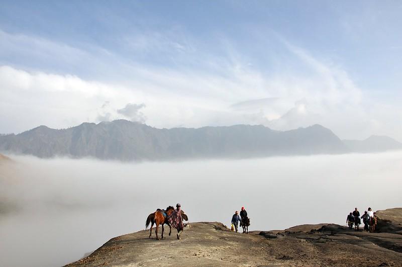 Layaknya Koboi Wild West, Ini Alasan Warga Bromo Naik Kuda