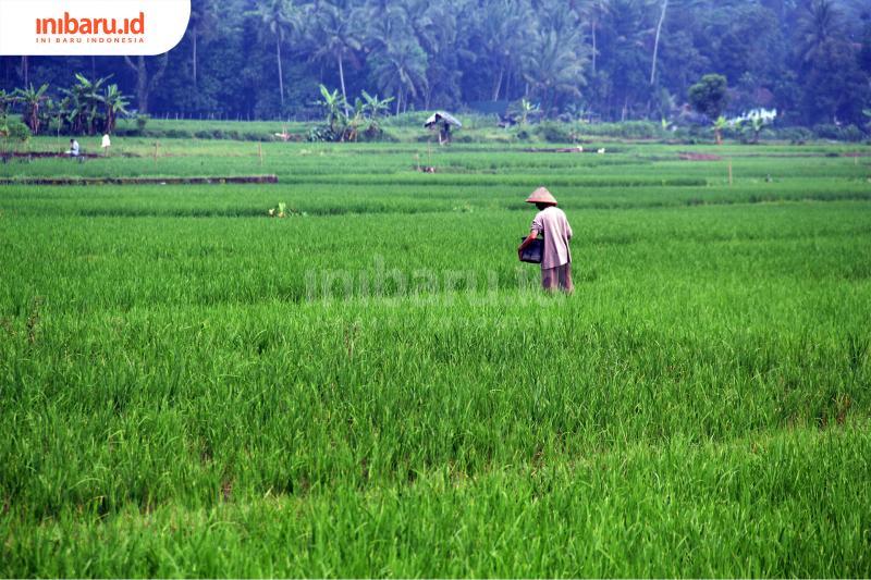 Pranoto Mongso, Ramalan Cuaca yang Dipegang Teguh Petani Jawa - Inibaru ... Pranoto Mongso, Ramalan Cuaca yang Dipegang Teguh Petani Jawa - Inibaru ...