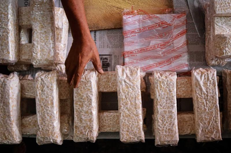 Mengenal Ciri-ciri Tempe yang Baik Mengenal Ciri-ciri Tempe yang Baik
