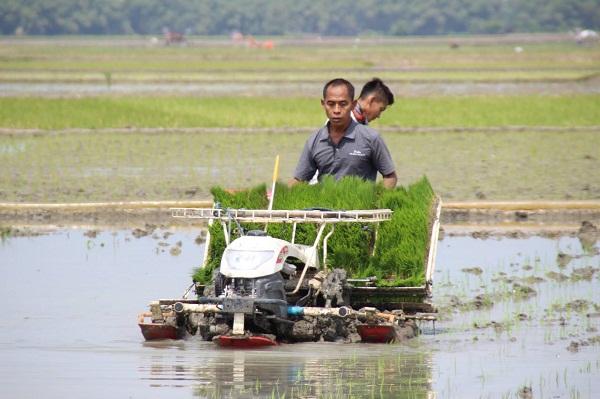 Transplanter Jadi Solusi Keterbatasan Lahan dan Tenaga Tanam di Rembang