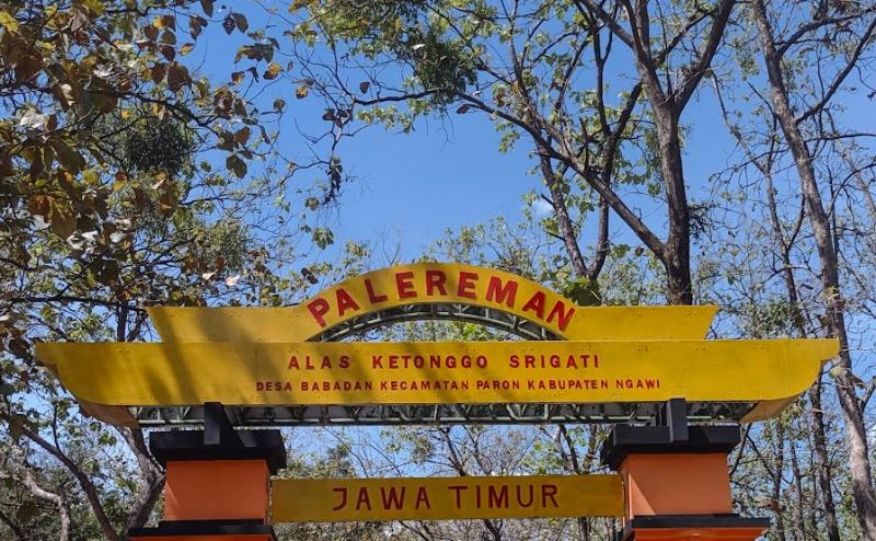 Alas Ketonggo, Saksi Bisu Prabu Brawijaya Lepas Semua Atribut Kerajaan ...