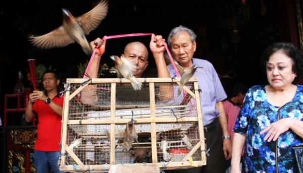 Mengenal Tradisi Melepas Hewan Saat Imlek - Inibaru Indonesia