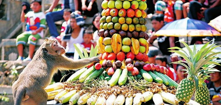 Tradisi Rewanda Ritual Memberi Makan Monyet Di Gua Kreo